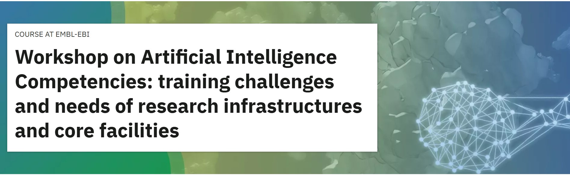 Workshop on Artificial Intelligence Competencies: training challenges ...